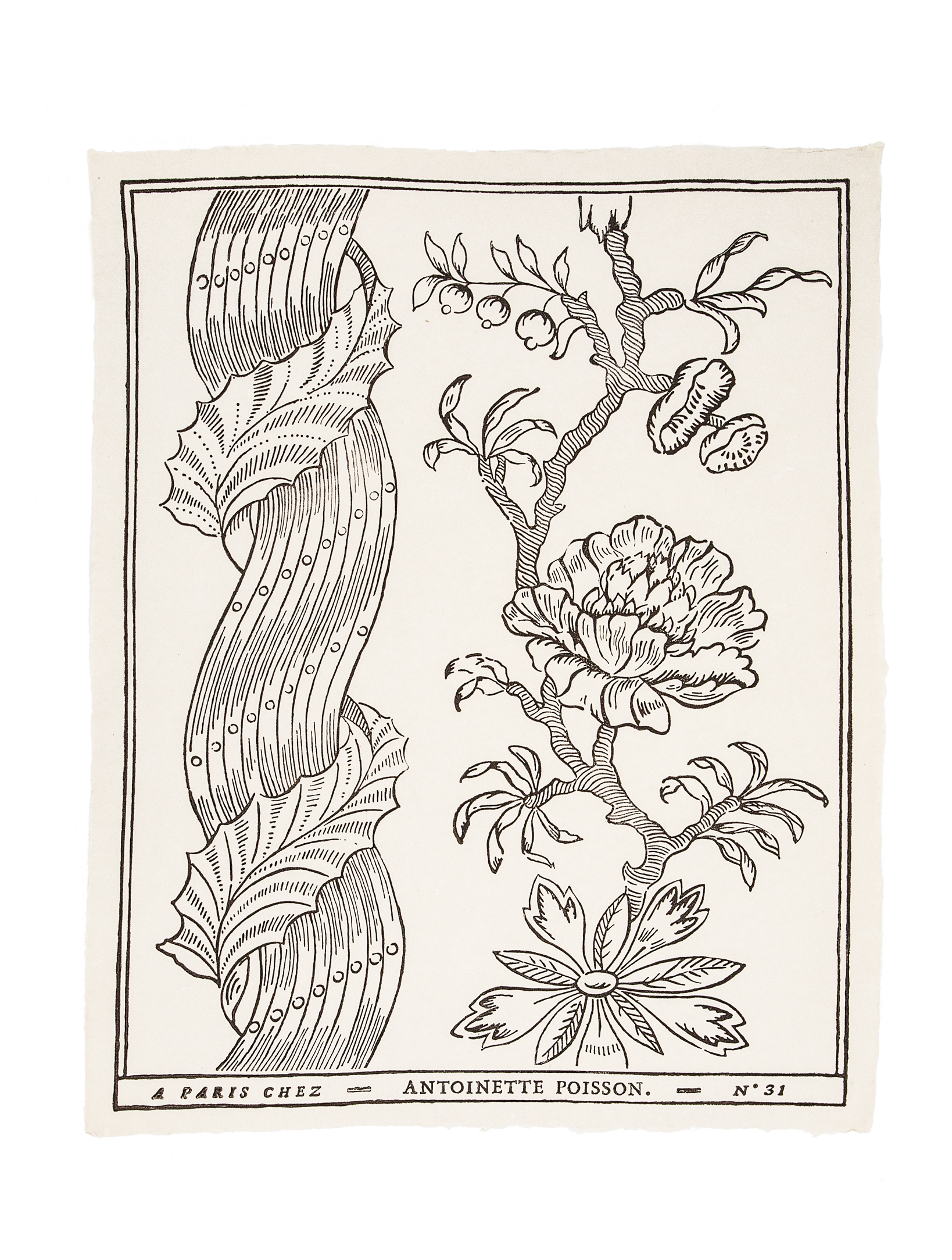 Domino paper "Colonnes"